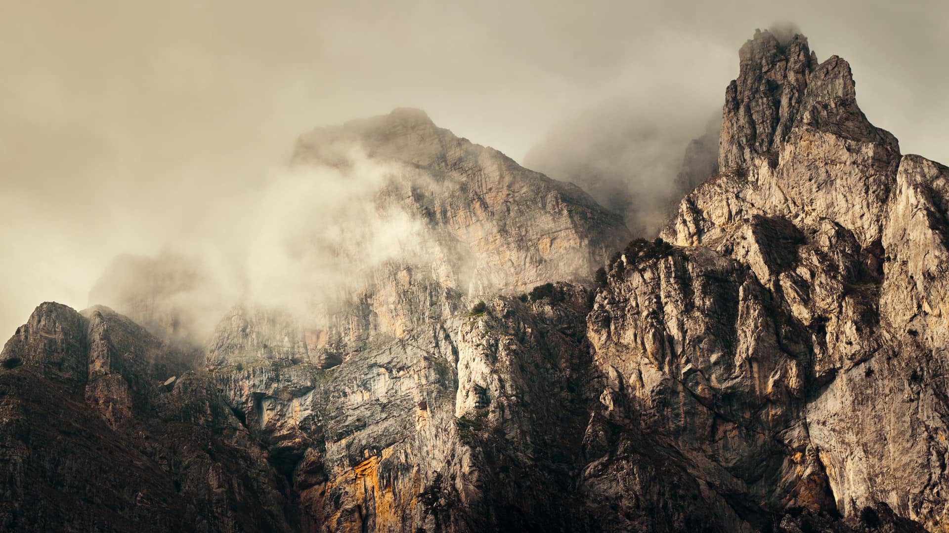 Contact us - GL Pharma